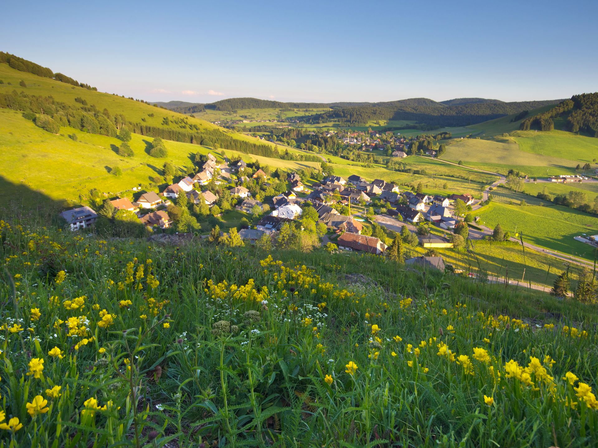 Frühlingserwachen - Hotel Breggers Schwanen